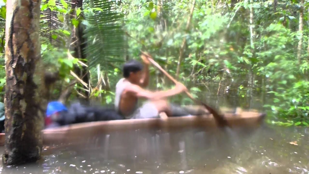 wading through the jungle - YouTube