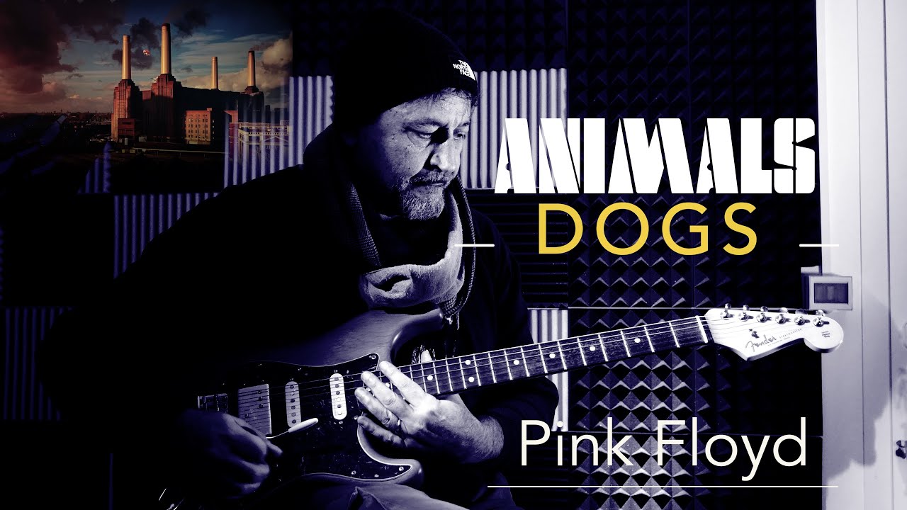DOGS - Pink Floyd (Cover) - All Five Solos - YouTube