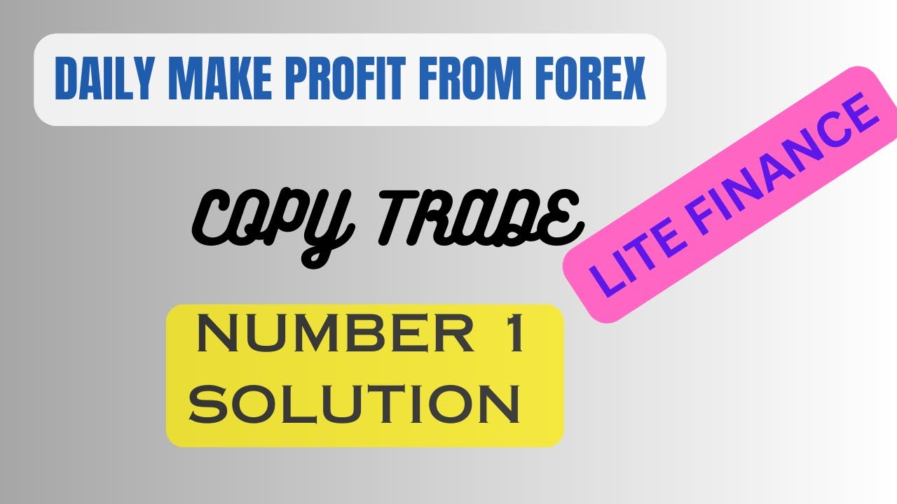 How To Make Massive Profit With Forex Copy Trading | LIte Finance copy ...