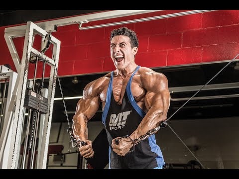 Build Huge Biceps and Back with sadik hadzovic full Training Video