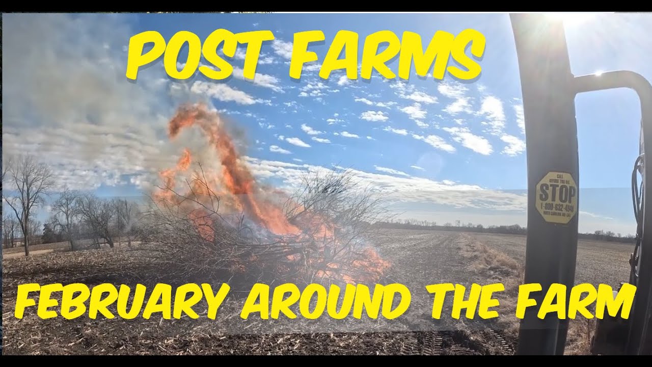 Not much happens in February, But farm life goes on - YouTube