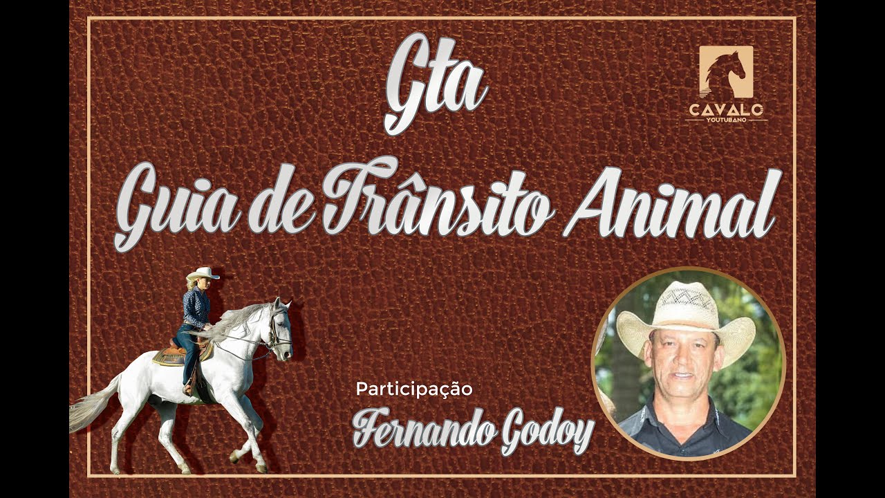 GTA - GUIA DE TRÂNSITO ANIMAL | COMO VIAJAR COM SEU CAVALO ! - YouTube