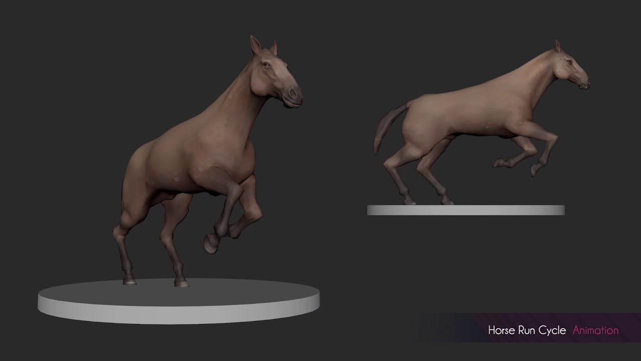 Horse Animation Run Cycle by Kim Tong - YouTube