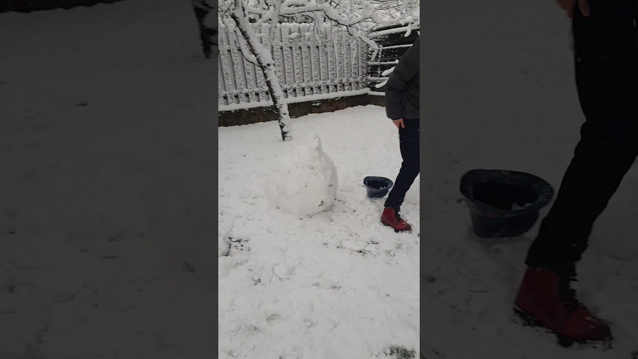 Peter and the snowy day - smssno