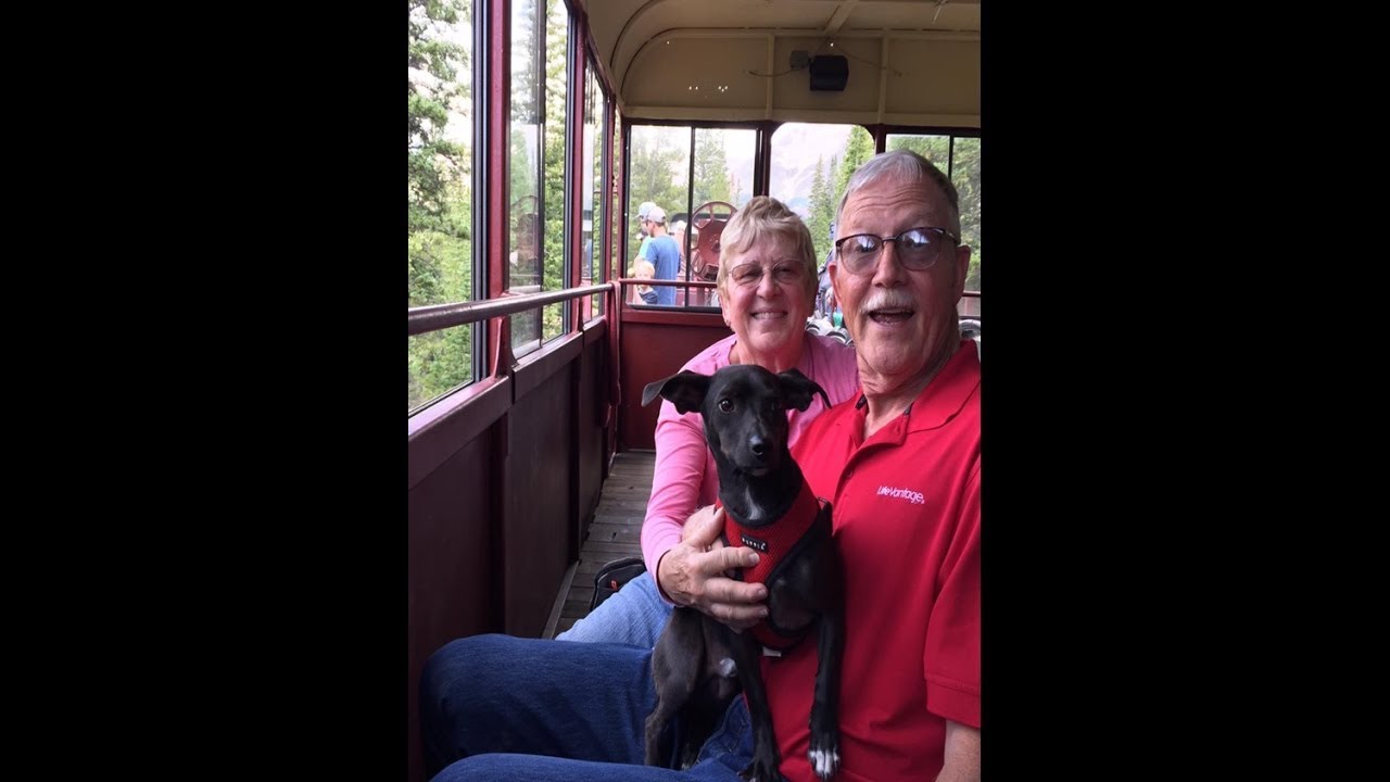 Dr Lee Seward Interview on Petandim hosted by Sandy McClure - YouTube