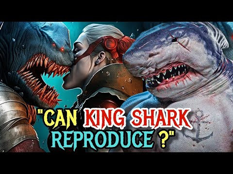 King Shark Anatomy - Can This Demi-God Reproduce? Is He Immortal? - YouTube