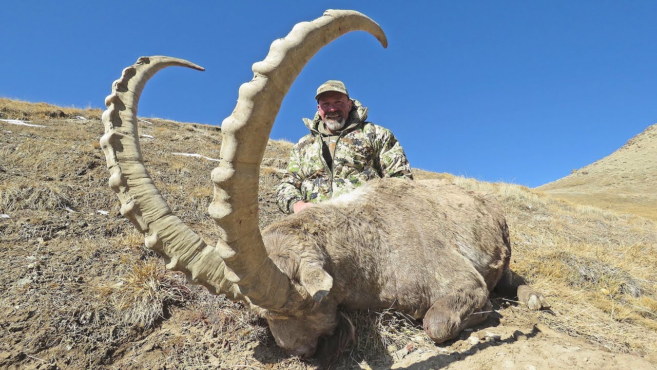 Mid Asian Ibex hunt in Kyrgyzstan with ProfiHunt 2019 - YouTube