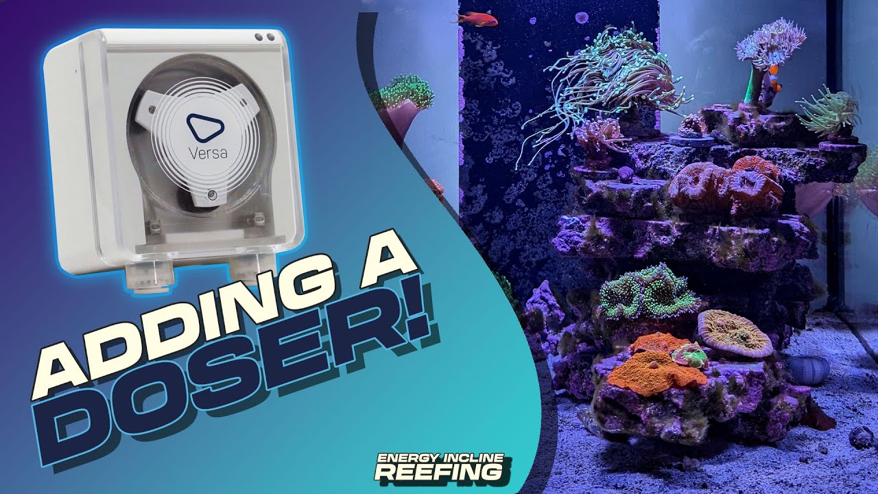 Aquarium Automation Unleashed: Upgrading with a Doser! - YouTube