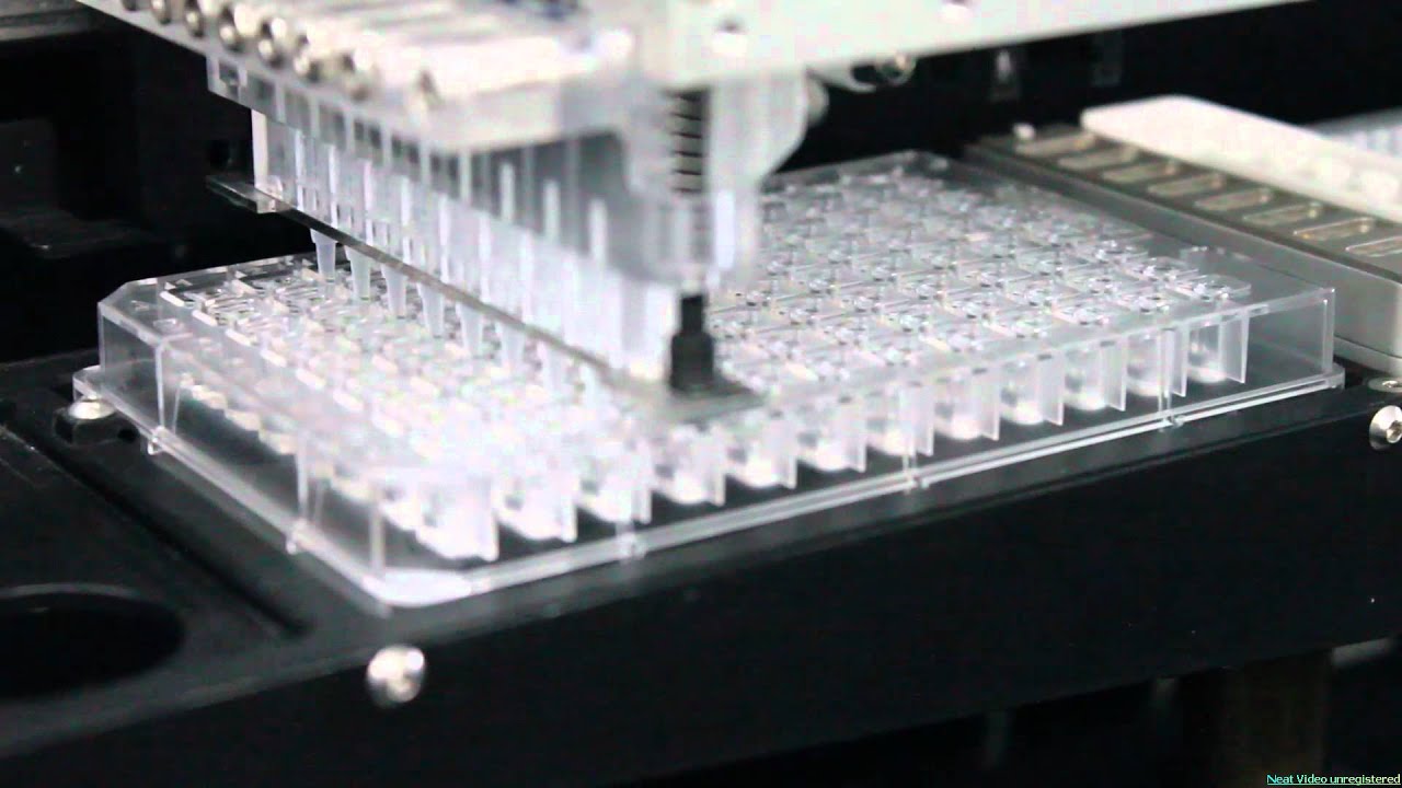 NT8 Sitting drop.mp4 - YouTube