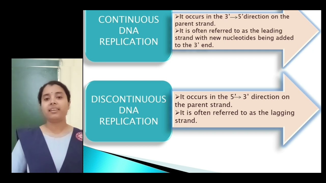 DNA Replication || class-12 || molecular basis of inheritance - YouTube