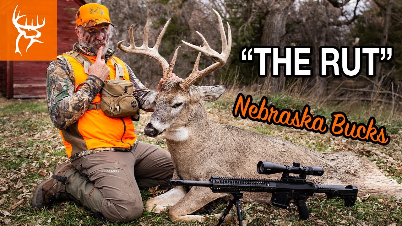 Rifle Hunting the Rut in Nebraska | Buck Commander - YouTube