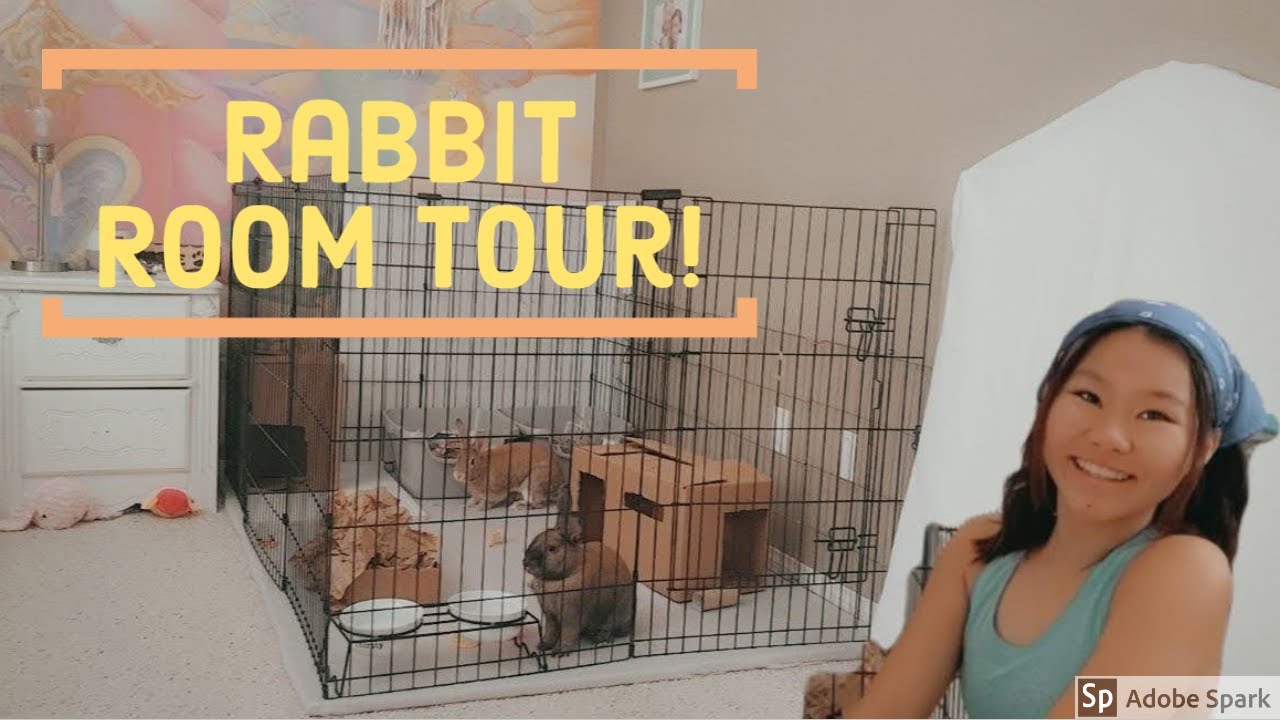 Rabbit Room Tour/ Rabbit Cage Tour! 2020 - YouTube