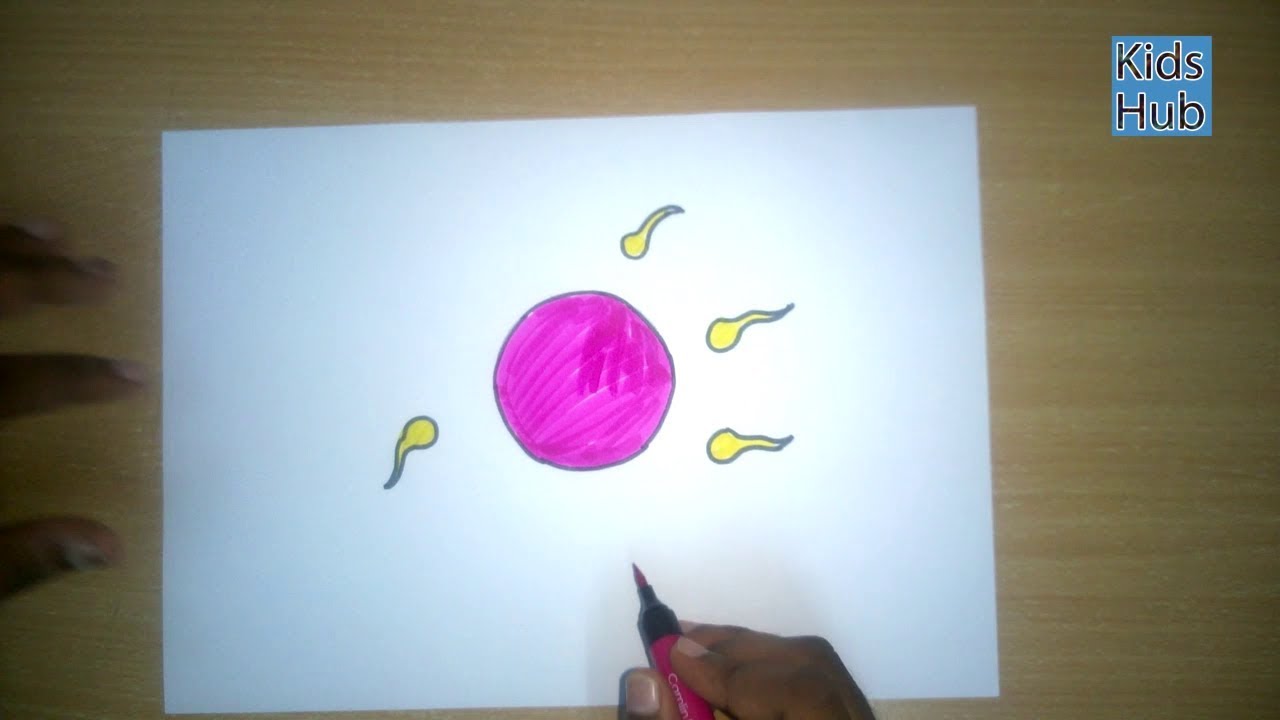 How to draw a Egg & Sperm | parts of the inner body | Easy step by step ...