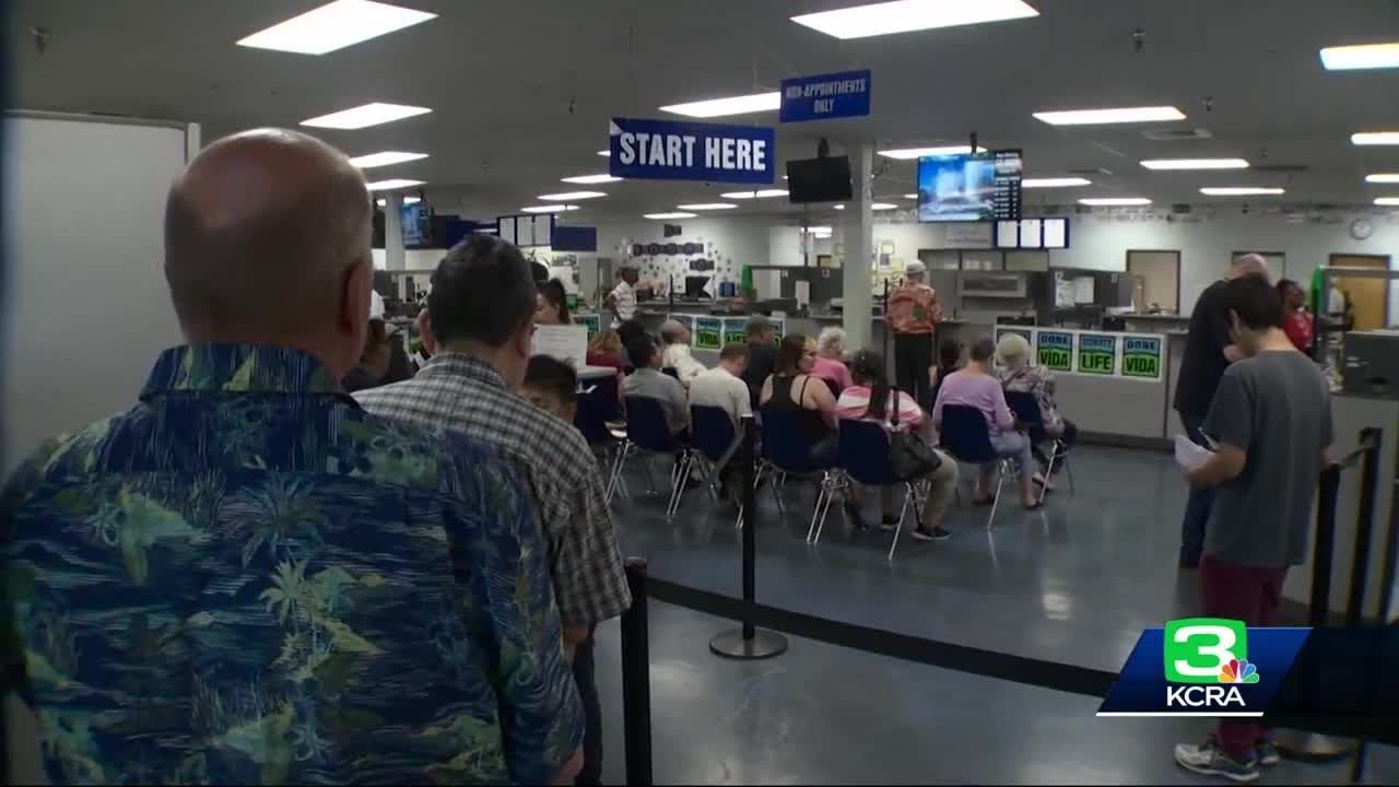 California DMV director to step down - YouTube