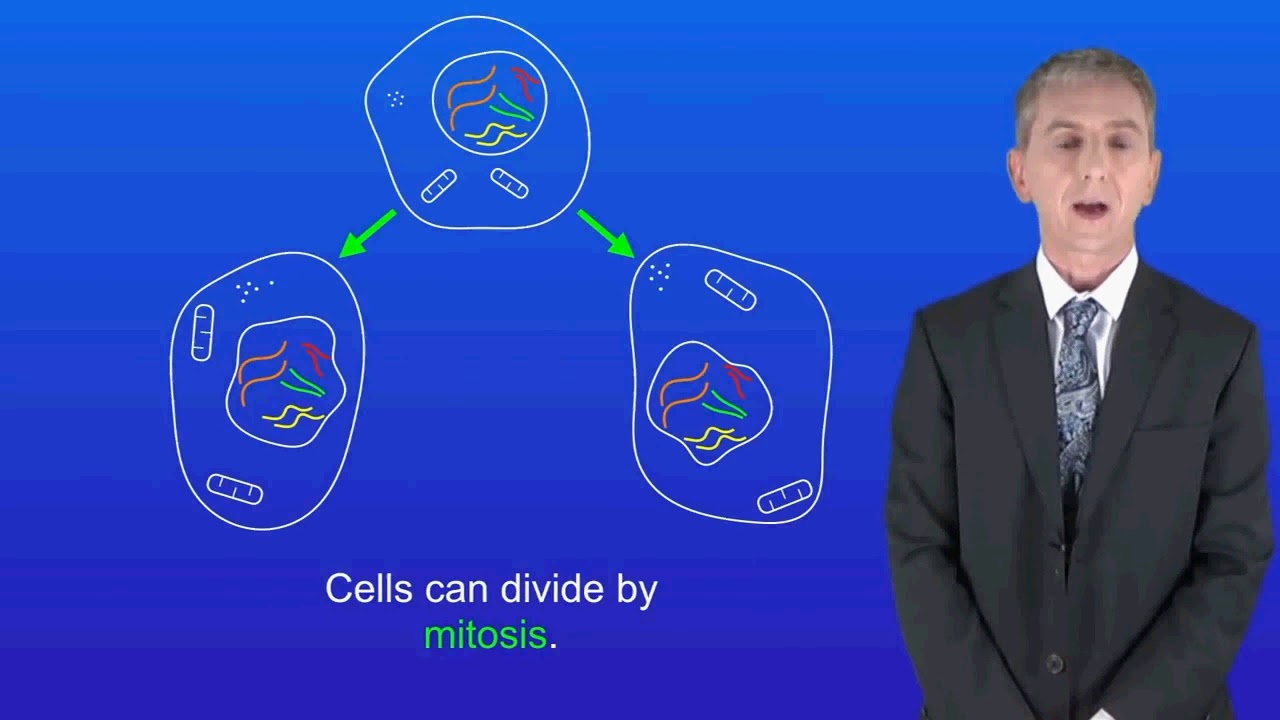 Free Science Lessons YTP: Finger Guns - YouTube