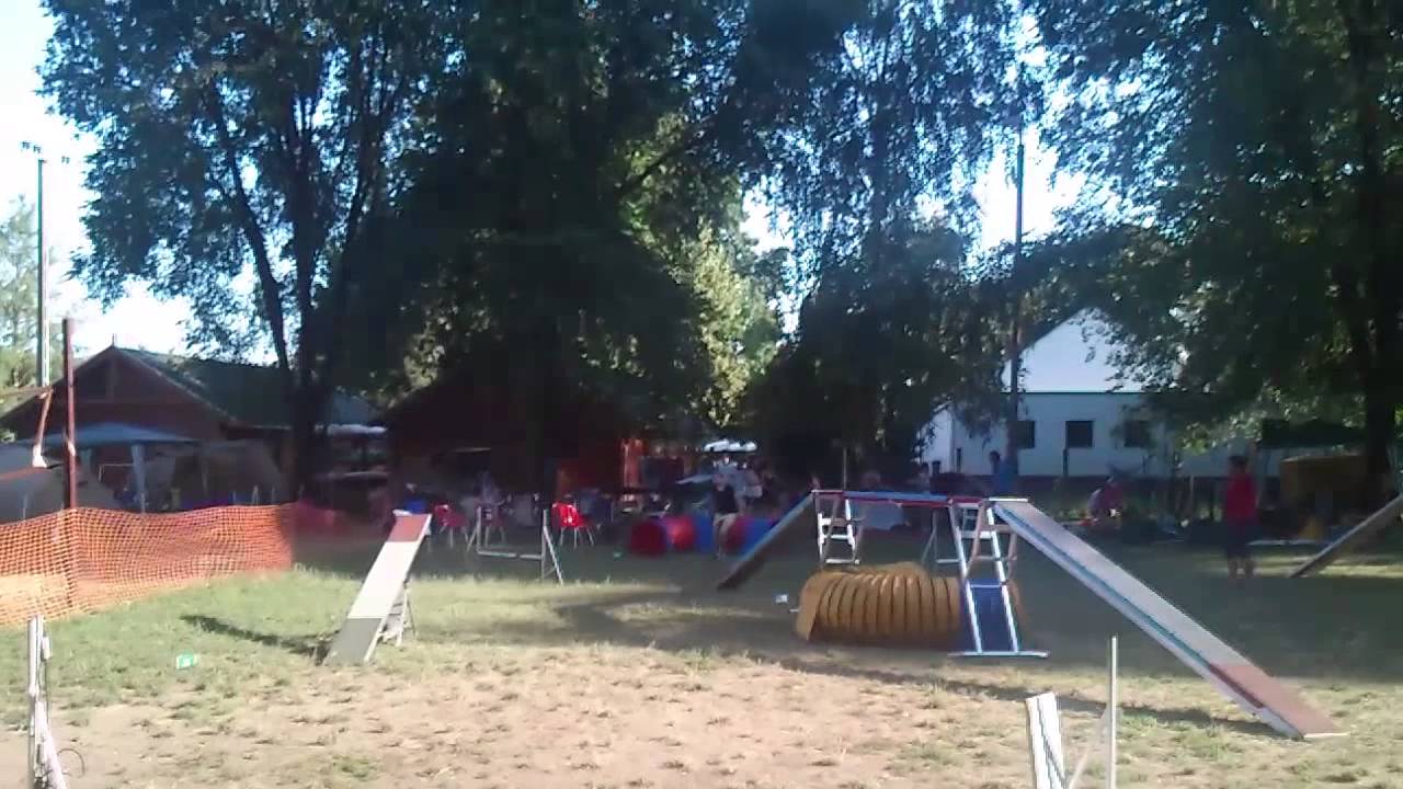 Szarvas agility camp 2014- Maszat - YouTube