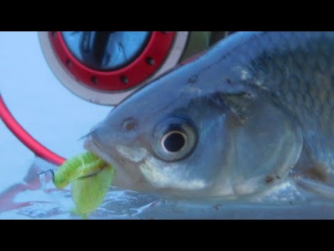 #1/Микро Дроп шот/Micro DROP SHOT/деликатная ловля поздней осенью ...