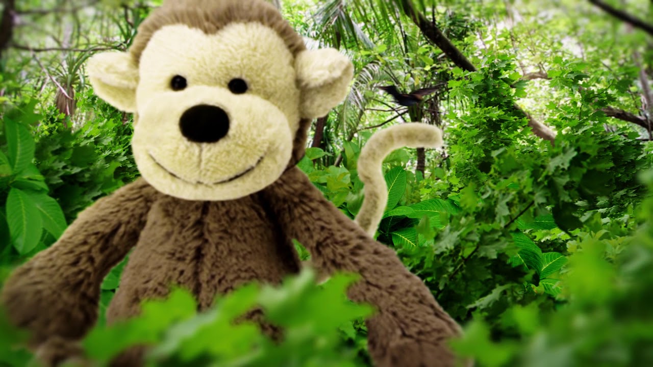 IT'S A MONKEY - YouTube