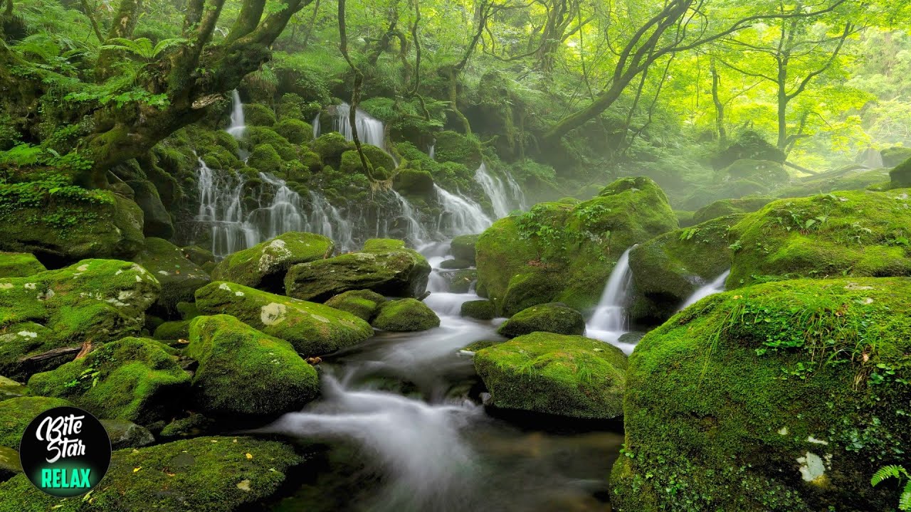 Relaxing Forest Music - Beautiful Piano for Sleep, Stress Relief ...