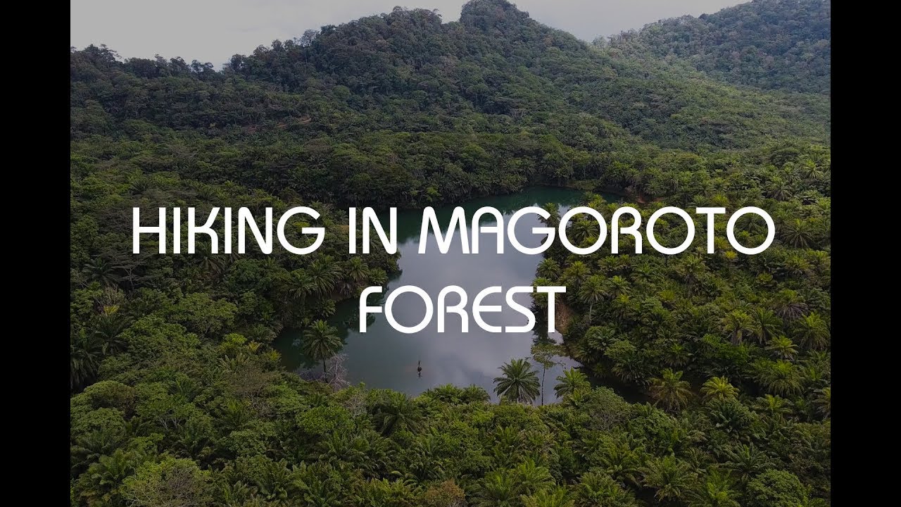 HIKING IN MAGOROTO FOREST - GETTING TO THE MOST BEAUTIFUL LAKE EVER ...