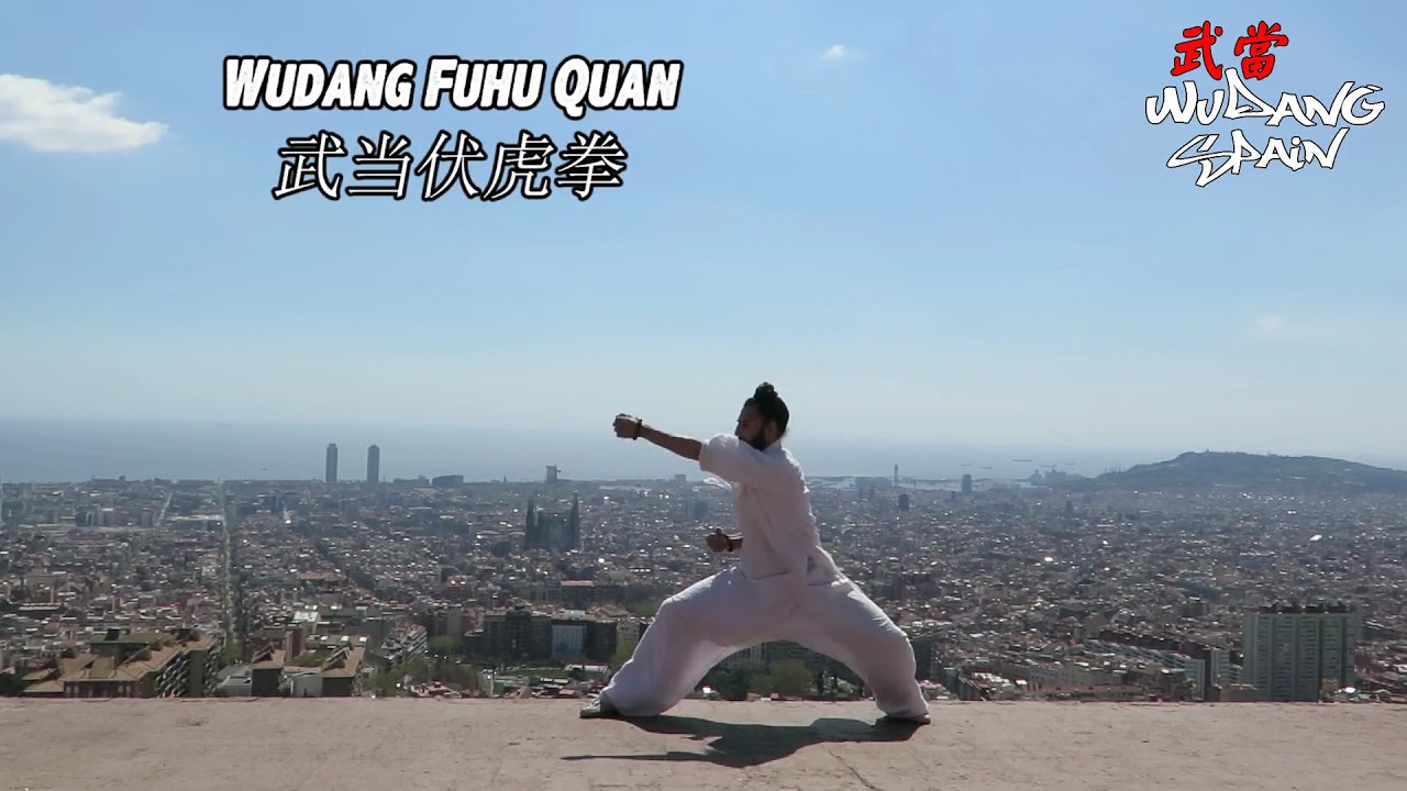 Wudang Fuhu Quan (武当伏虎拳) - Wudang Spain - YouTube
