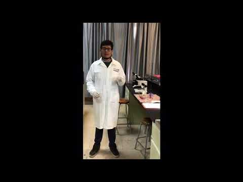 13-Técnica de Baermann - YouTube