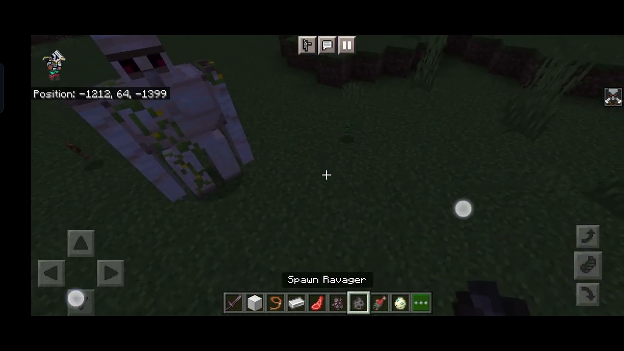 IRON GOLEM VS RAVAGER AND PILLAGER! - YouTube