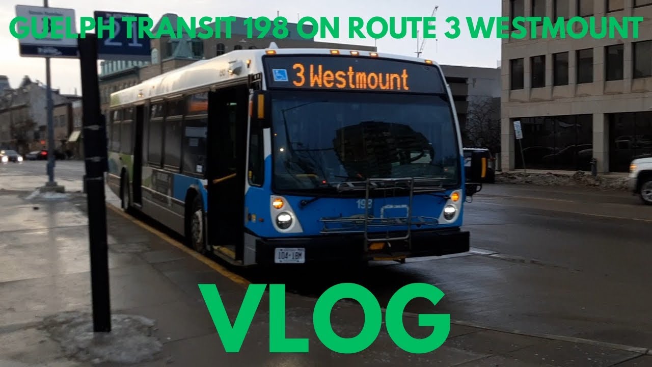 Riding Guelph Transit Bus 198 On Route 3 Westmount [VLOG] - YouTube