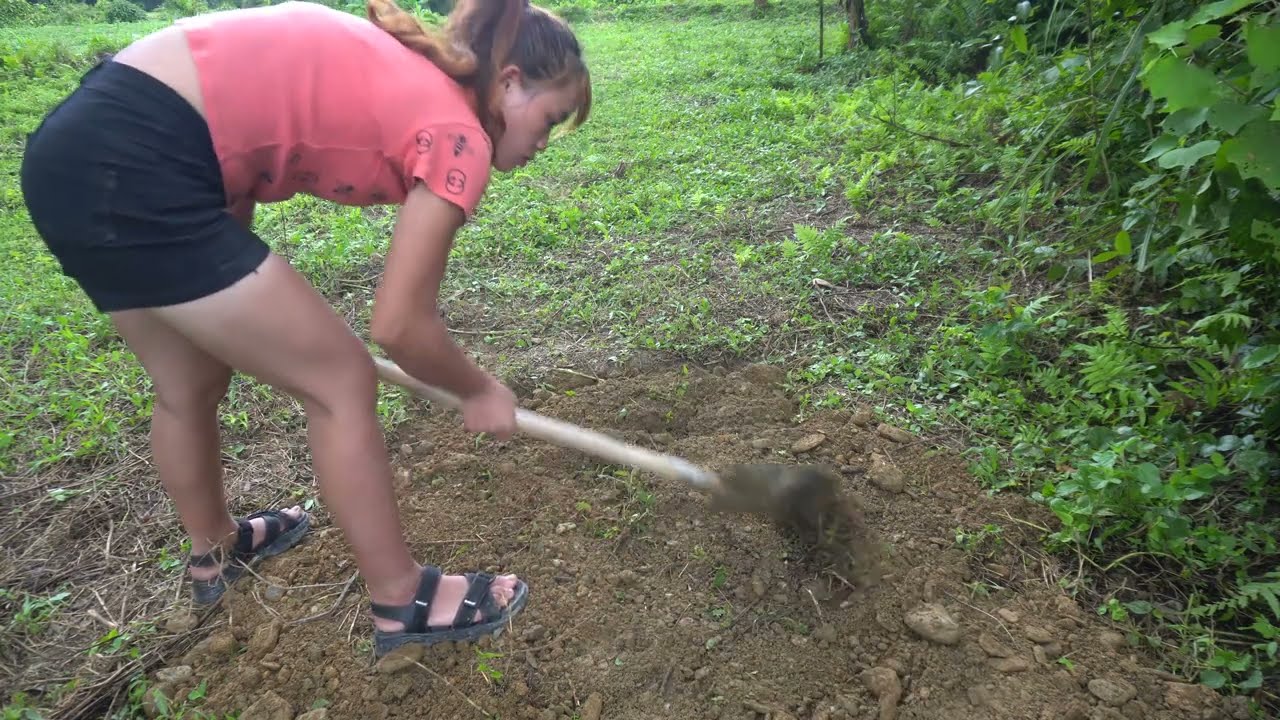 FULL VIDEOS: 300 Day Build Daily Life At Farm, Build Toilet || Living ...