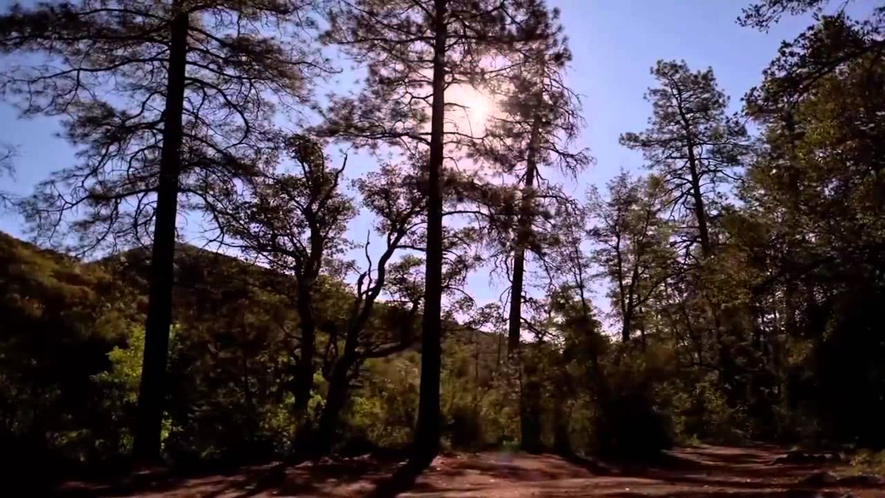 Aria Math - Extended version - YouTube