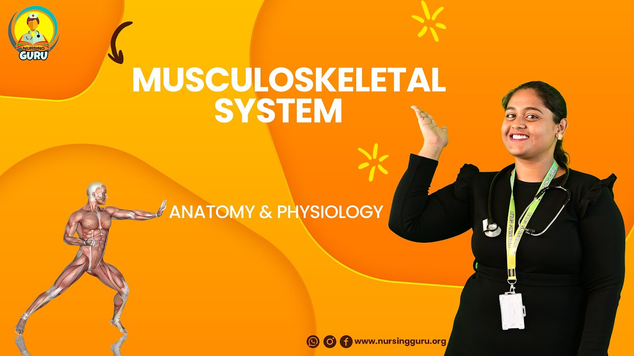 Musculoskeletal system | Anatomy & Physiology | Nursing guru lectures ...