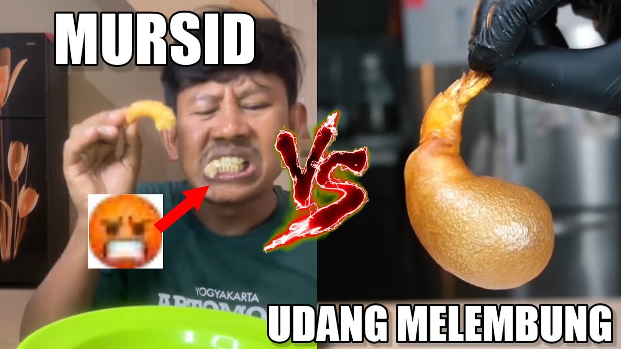 mursid vs udang melembung... (try hard jir😂) - YouTube