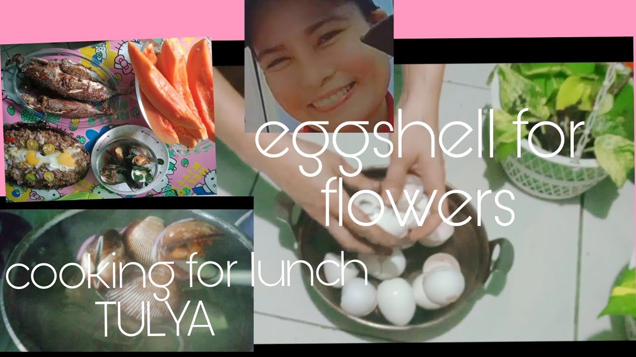 Rest day / busy day/ i made eggsheel for flower / cooking (TULYA🐌) soup ...