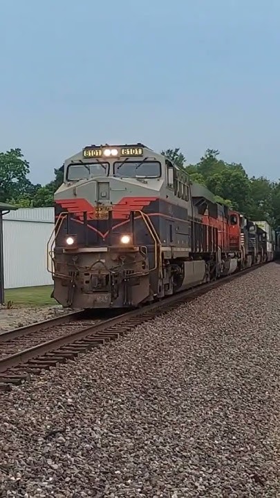 NS 8101 Heritage horn show! - YouTube