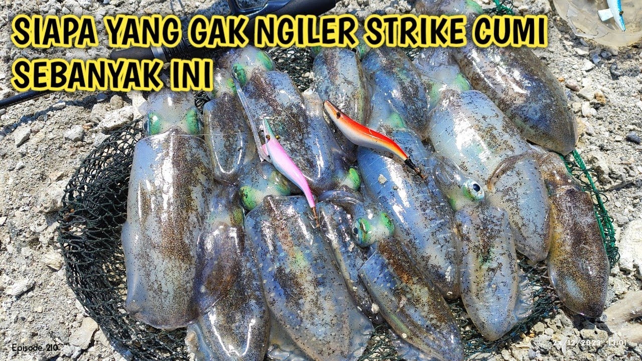 MUSIM CUMI DI LAMONGAN, MANCING PAKAI UMAPAN EGI KAYU SAMPAI LUPA ...