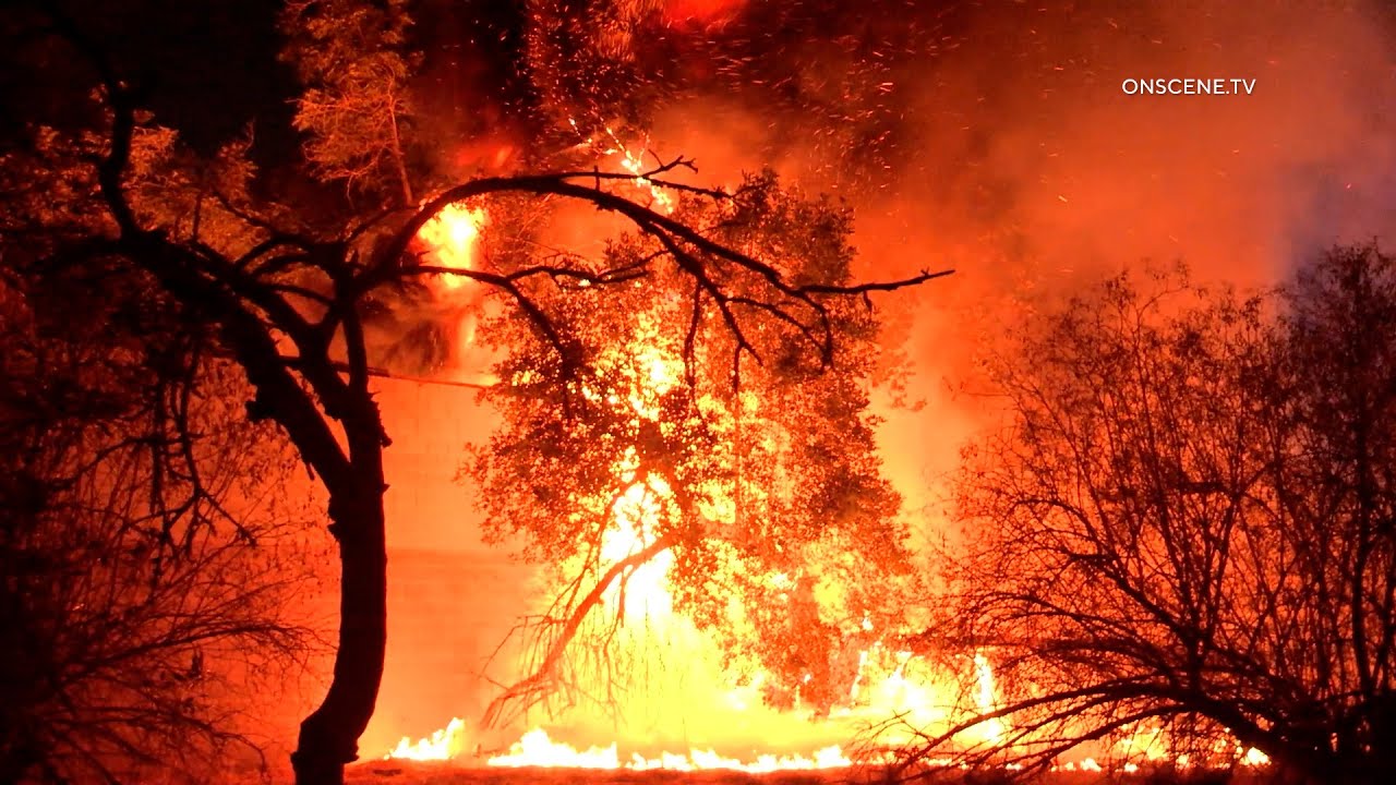 Large Homeless Fire Behind a Home - YouTube