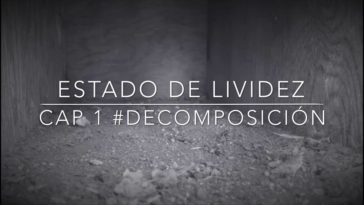 Estado de lividez- performance. - YouTube