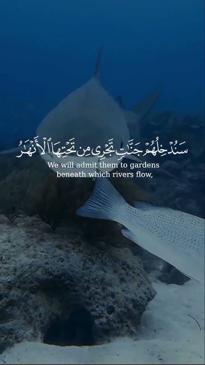 pashton official chennal New trending telawat Quran YouTube - YouTube