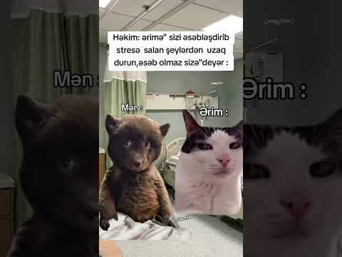 Whatsapp ucun maraqli, MƏNALI statuslar, status ucun sevgi videolari, QƏMLİ WHATSAPP STATUSLARI 2025