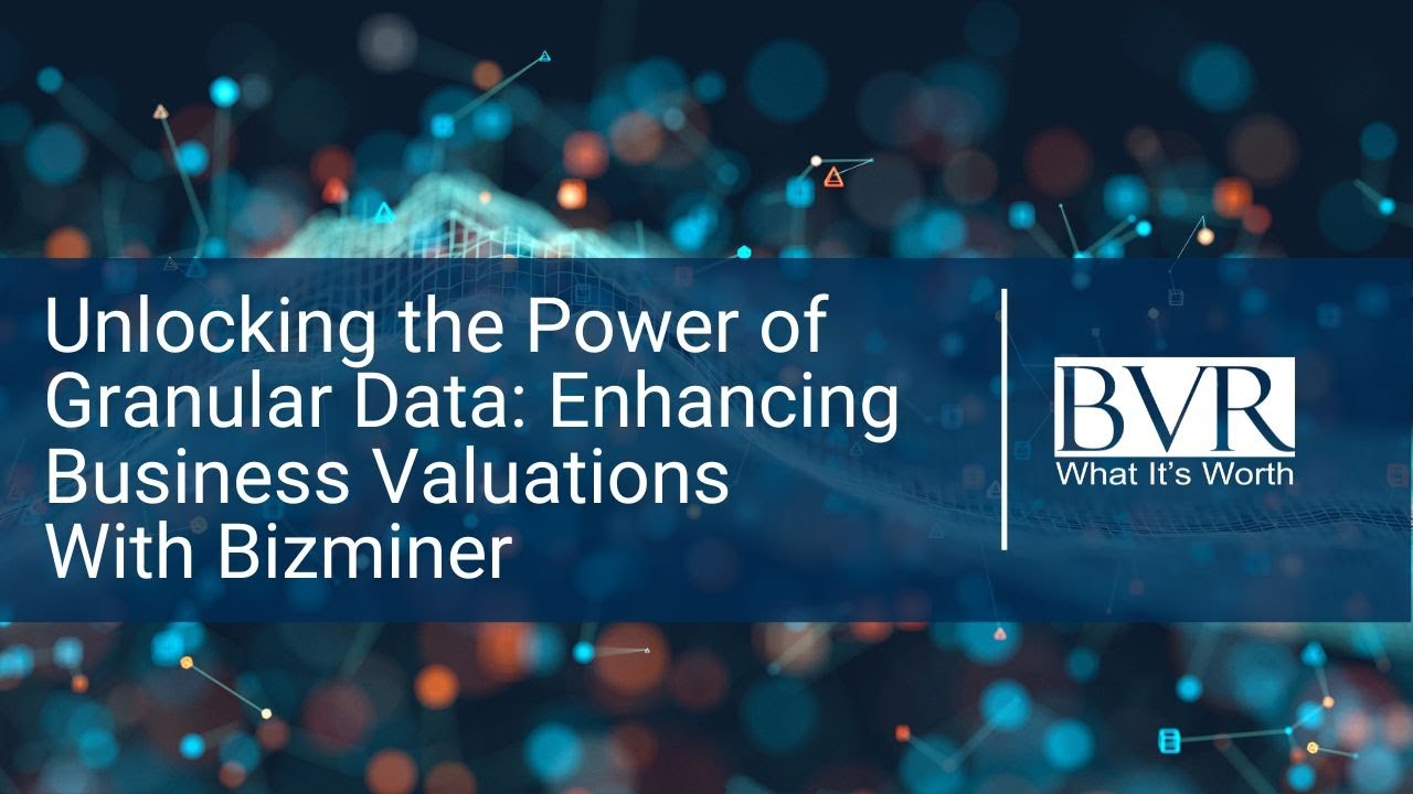 Unlocking the Power of Granular Data: Enhancing Business Valuations ...