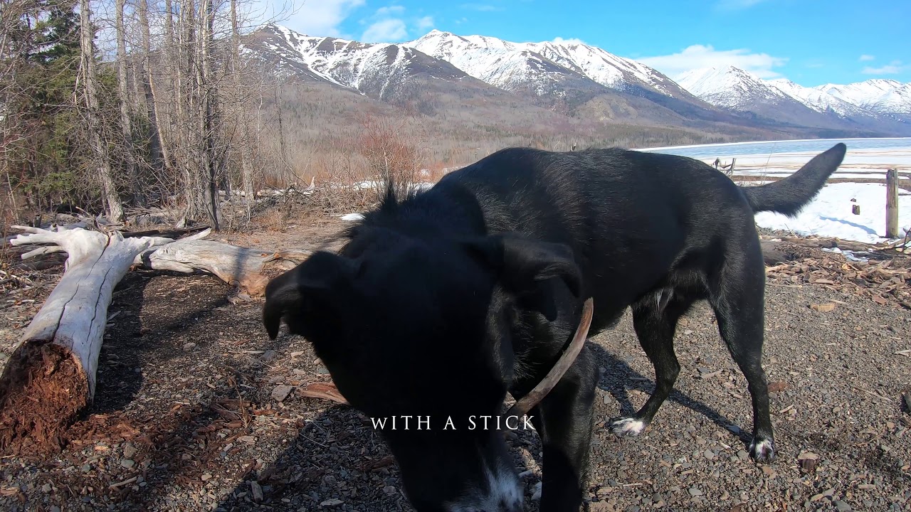 Jackson Studios Presents... - YouTube