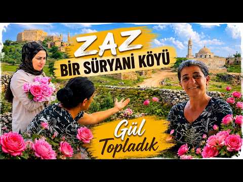 Bir Süryani Köyü | Zaz (İzbırak) Midyat/Mardin