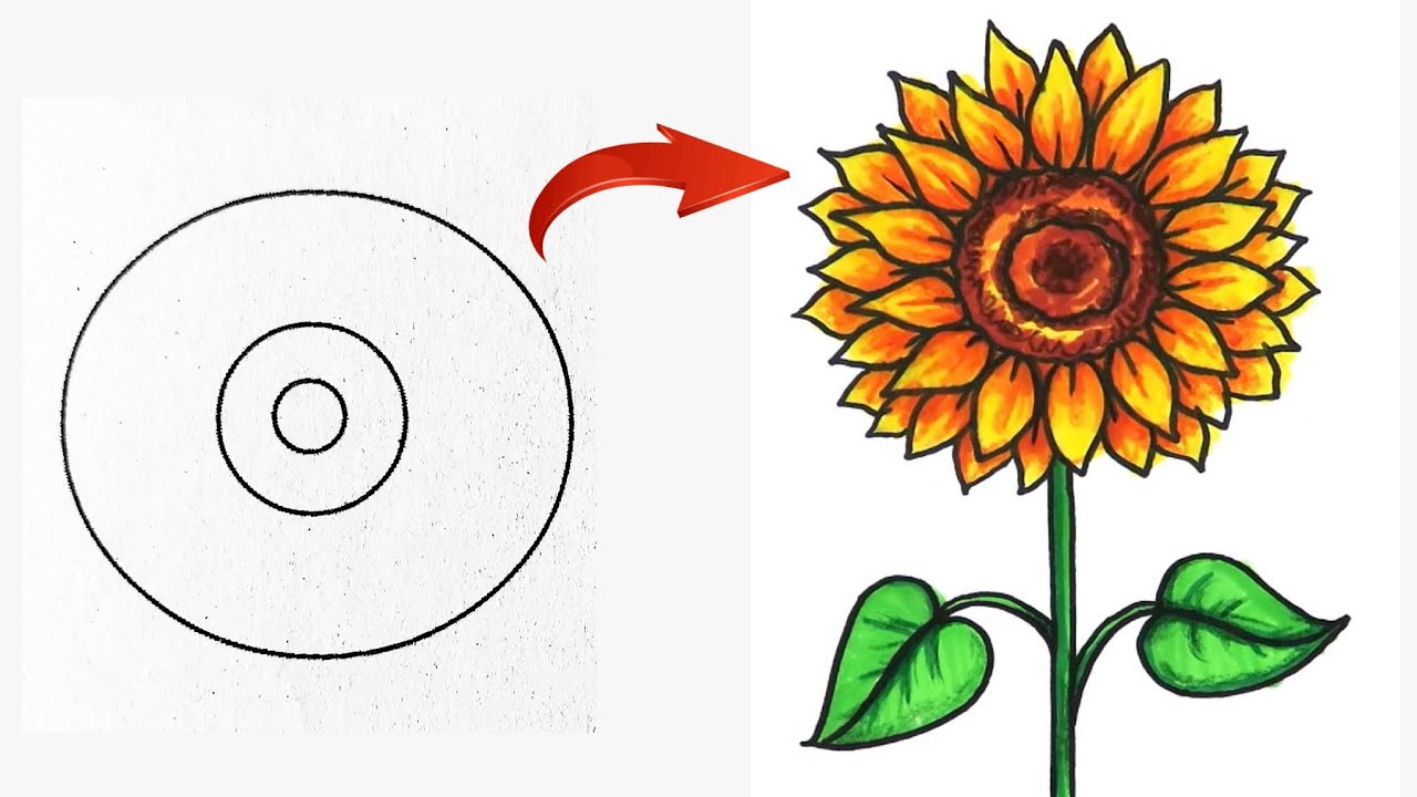 Sunflower Drawing || How To Draw Sunflower Step By Step || Easy ...