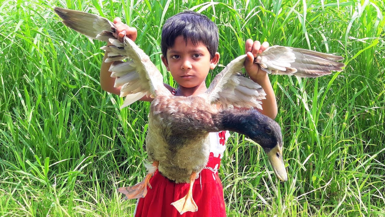 Kids Picnic - 5 KG Duck/Goose Curry Cooking | Spicy Duck And Hodgepodge ...