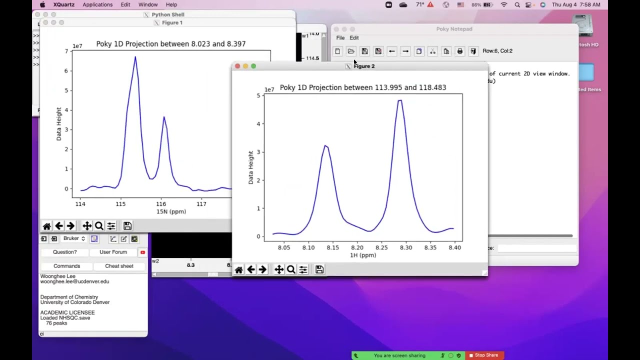 Plot 1D projection from 2D view extent by POKY NMR - YouTube