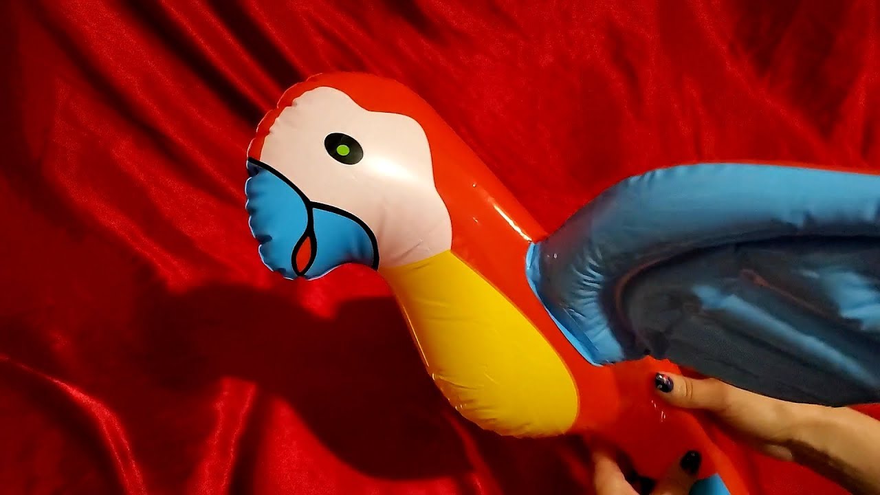 INFLATABLE PARROT INFLATION AND DEFLATION!!!! - YouTube