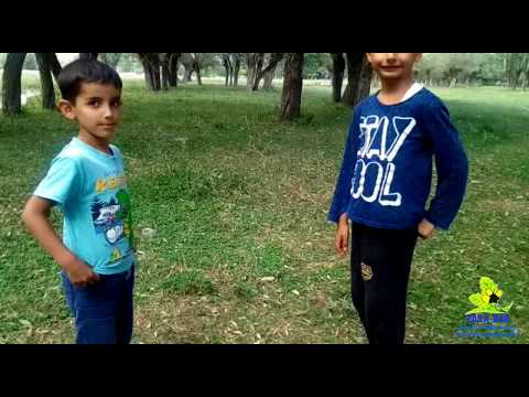 Küçüklerimiz Zazaca Öğreniyor 1  Domanê/Qıcê ma Zazaki Musenê
