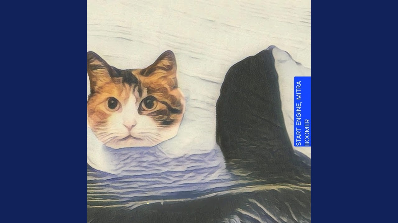 A Party is a Party (feat. SonJon) - YouTube