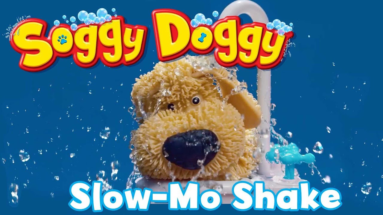 Soggy Doggy - Soggy Doggies Shake In Slow Mo! - YouTube
