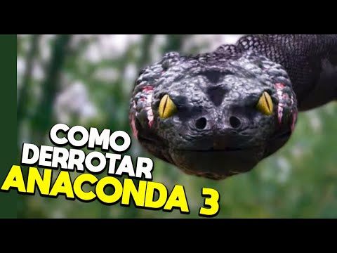 Como Derrotar as COBRAS GRÁFICO PS2 em ANACONDA 3!